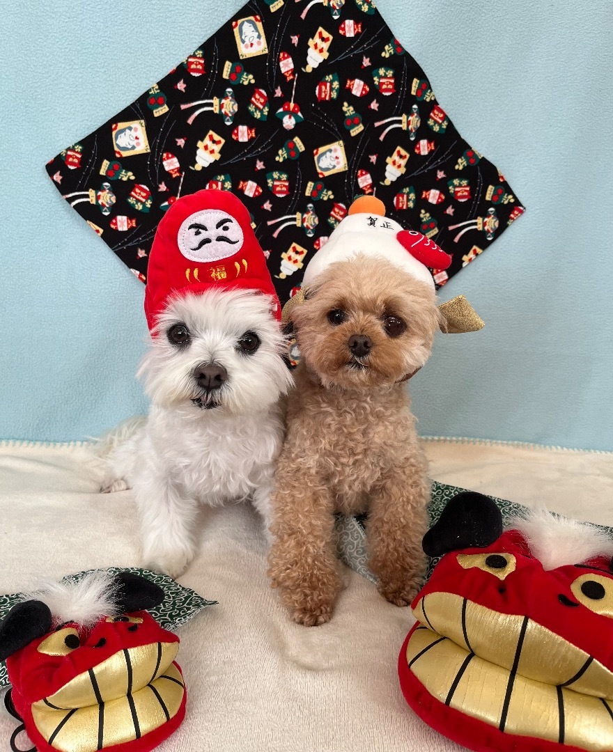 Happy New Year 2025: 4マル日記